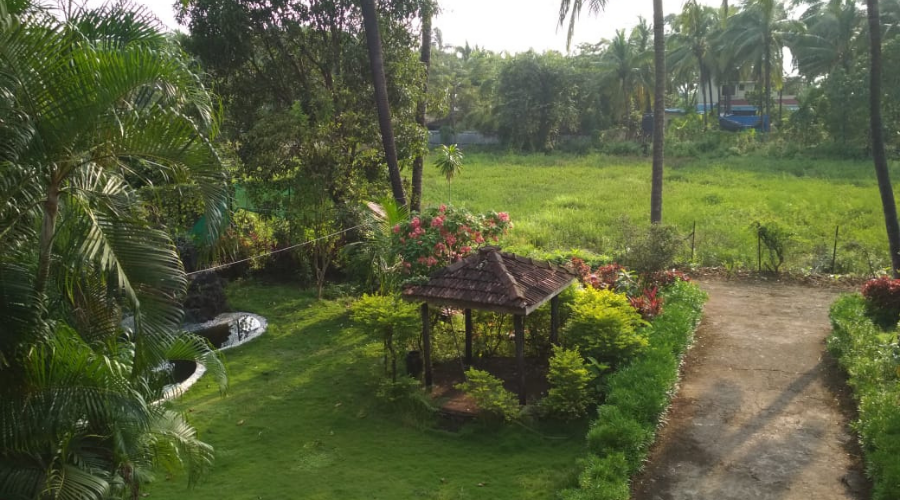 Resort in Akshi Rooms, Rates, Photos, Map | hotels in Akshi ...
